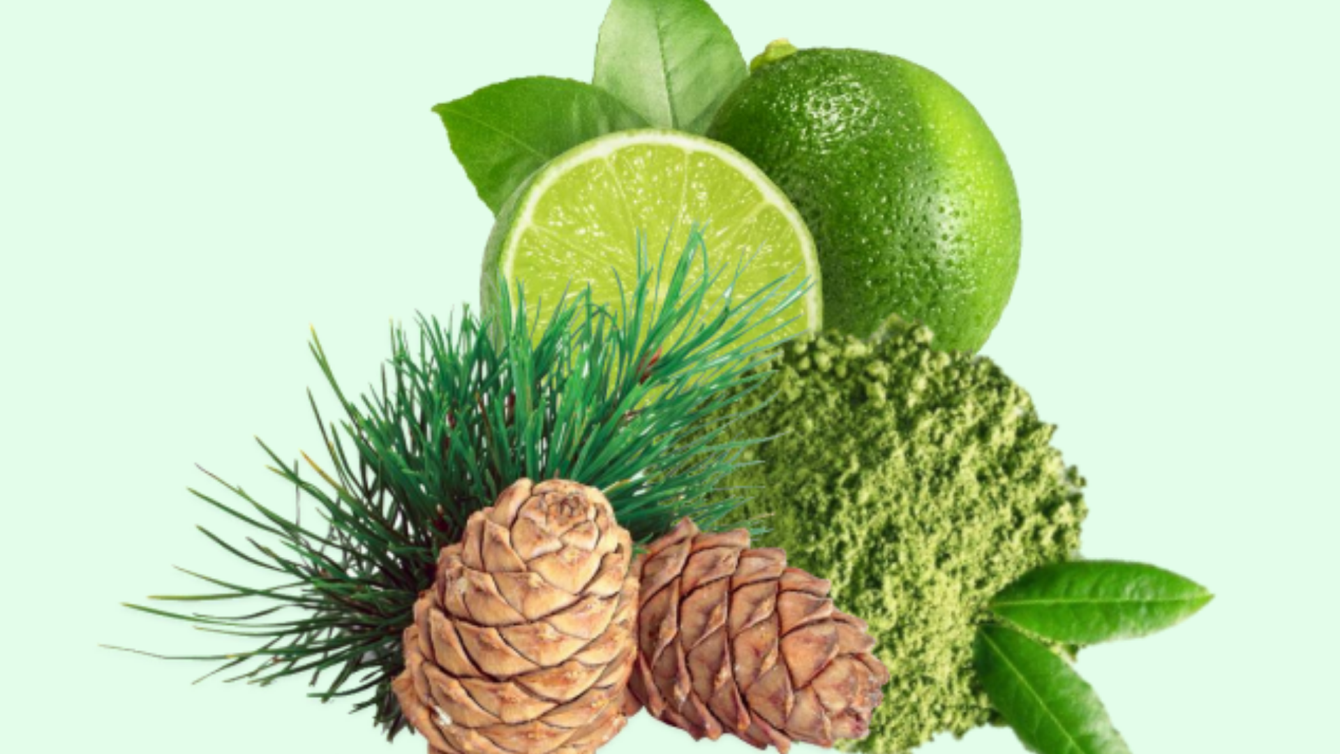 Luzi y Fepla estarán presentes en el próximo Cosmetorium con Tealicious