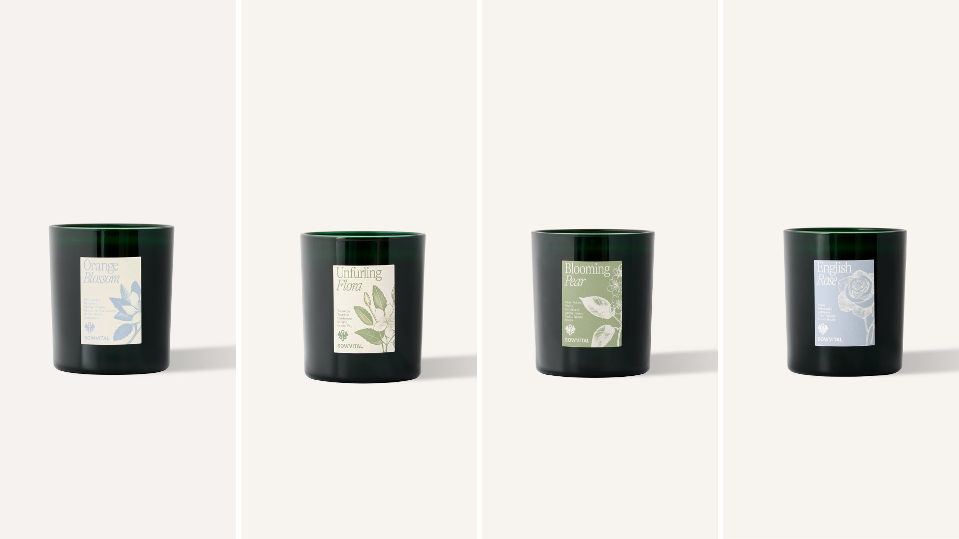 Scentmate y Sowvital ofrecen un viaje sensorial a través del mundo de ...